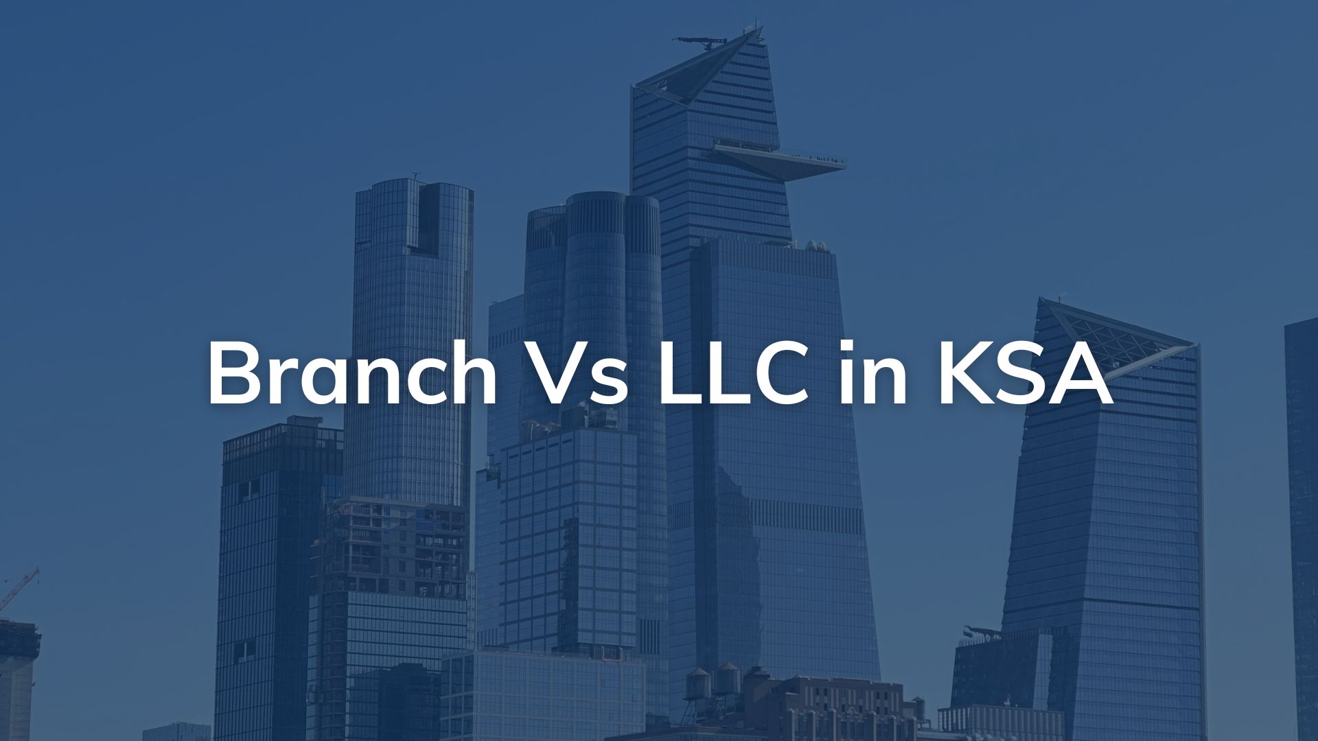 Branch Vs LLC in KSA | Sovereign PPG | PRO Partner Group