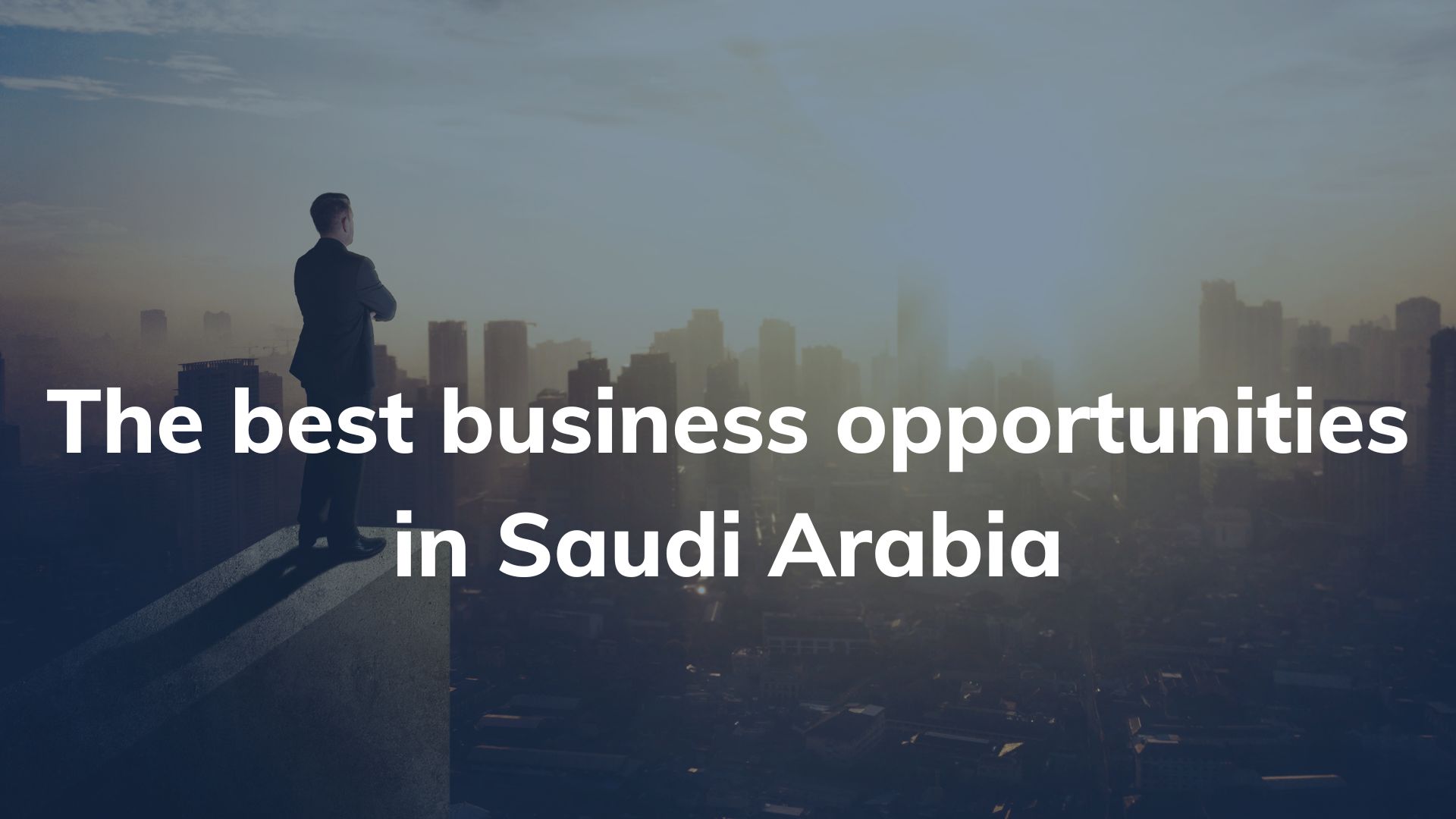 The best business opportunities in Saudi Arabia | Sovereign PPG | PRO ...