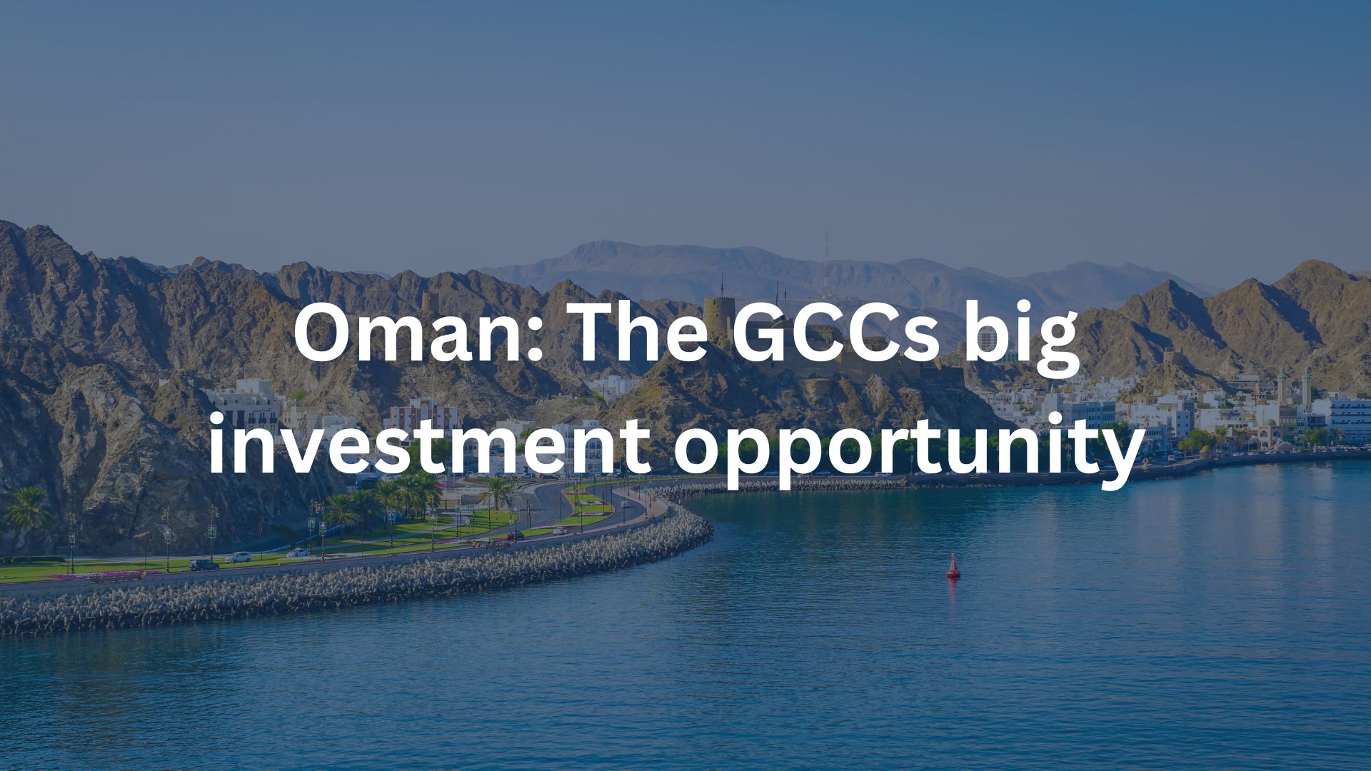 Investment Opportunities for Foreign Investors in Oman | PRO Partner Group