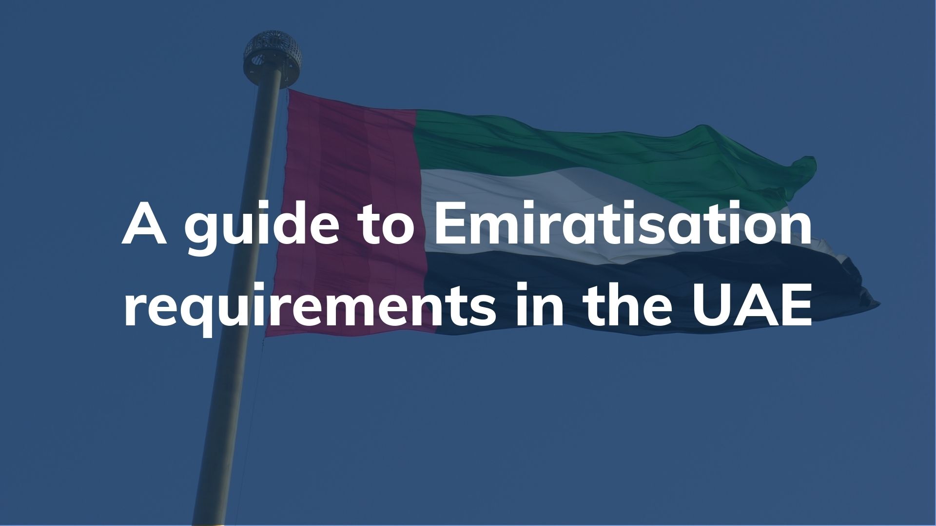 A guide to Emiratisation requirements in the UAE | Sovereign PPG | PRO ...