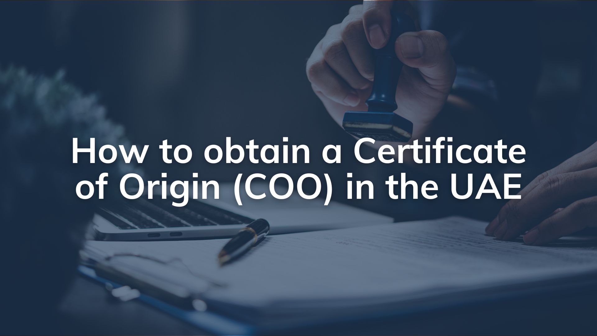 Process of Getting a Certificate of Origin (COO) in the UAE | PRO ...
