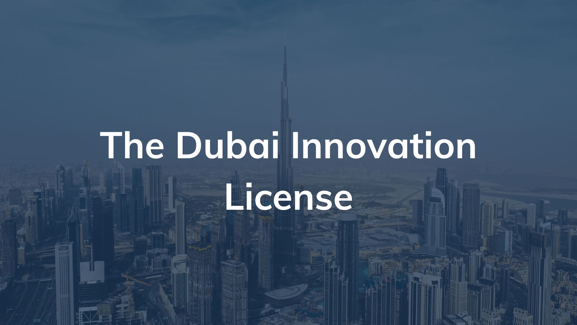 The Dubai Innovation License | Sovereign PPG | PRO Partner Group